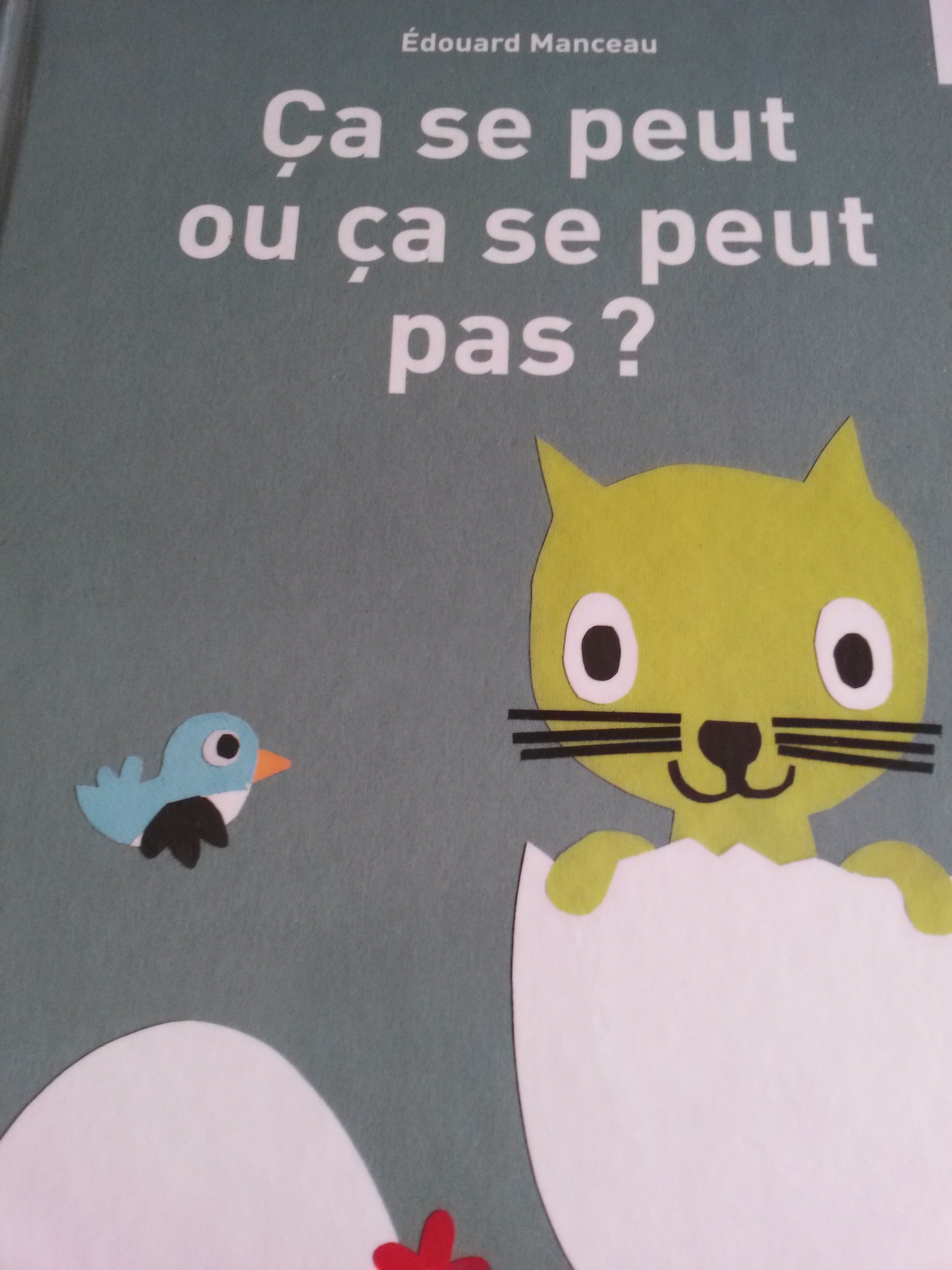 Le jeu du Ça se peut ou ça se peut pas ? d'Édouard Manceau