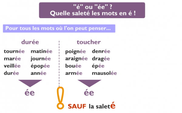 L'orthographe en chanson sur le site Orthochansons