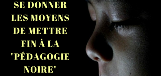 Les conséquences des Violences Educatives Ordinaires (VEO)