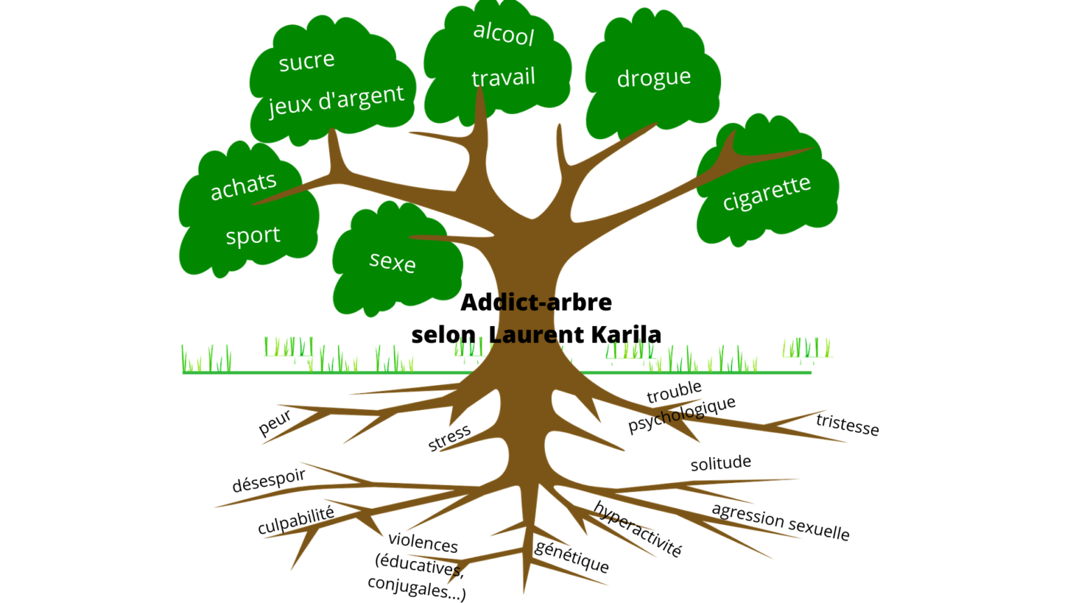 Les 5C de l'addiction et l'addict-arbre (Laurent Karila)